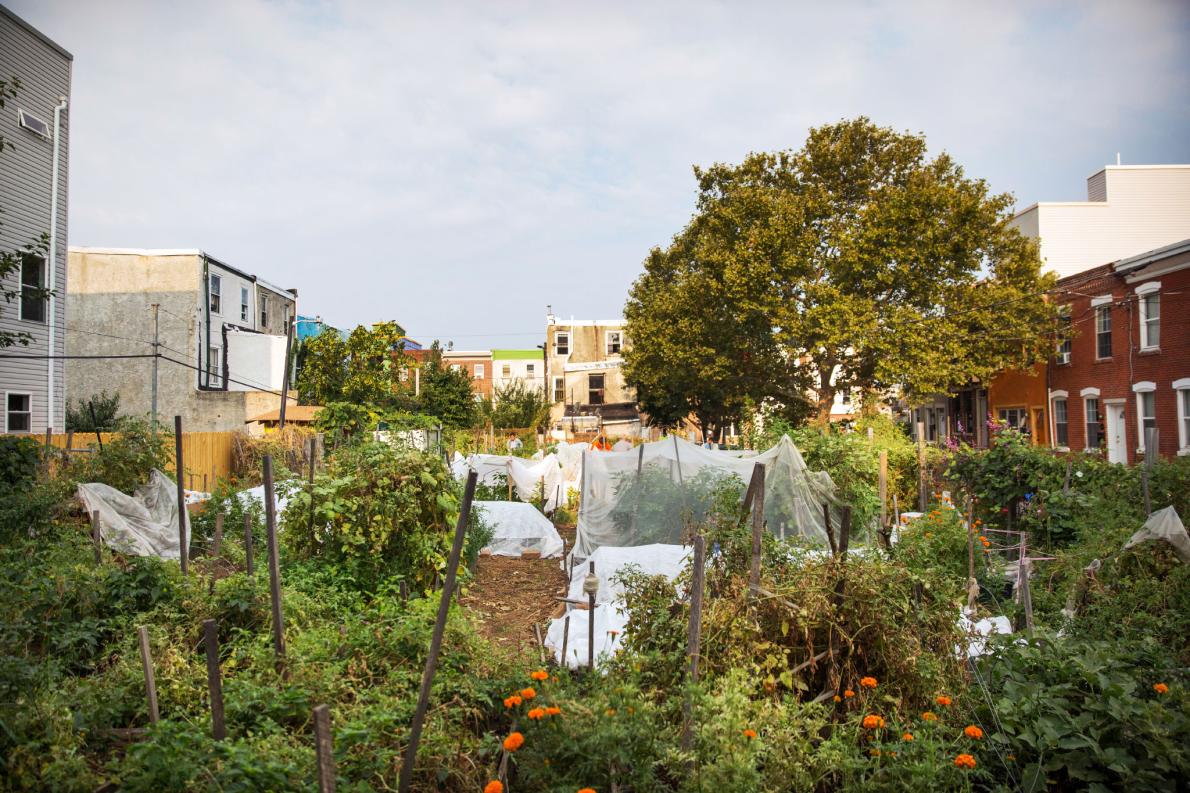 Growing Home Garden, a Place to Put Down New Roots – Neighborhood ...