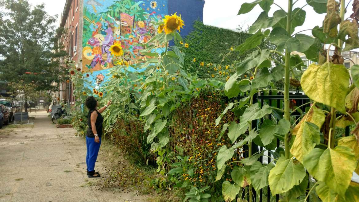 Emerald Street – Neighborhood Gardens Trust