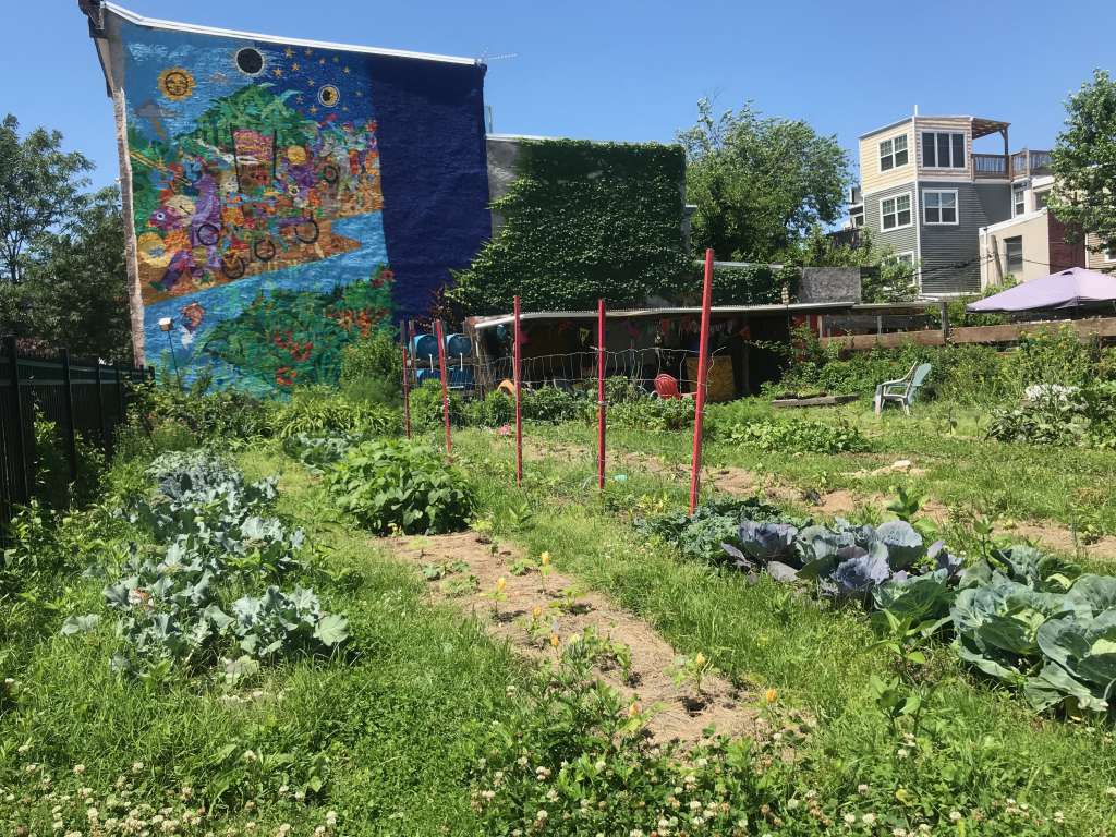 Emerald Street – Neighborhood Gardens Trust