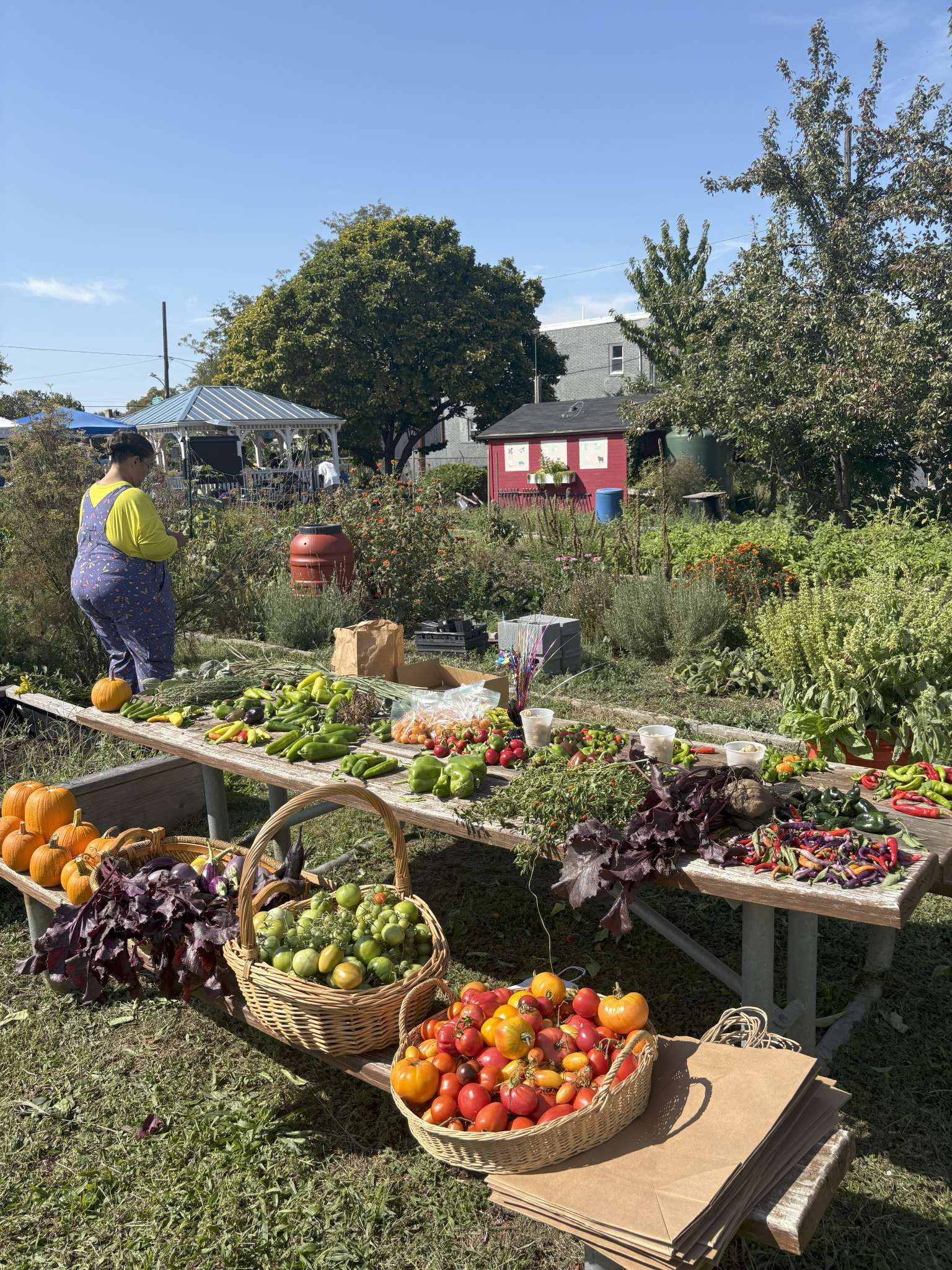 Aspen Farms Celebrates its 50th Anniversary – Neighborhood Gardens Trust